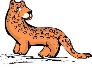 Wild Cheetah And The Chomping Rabbit